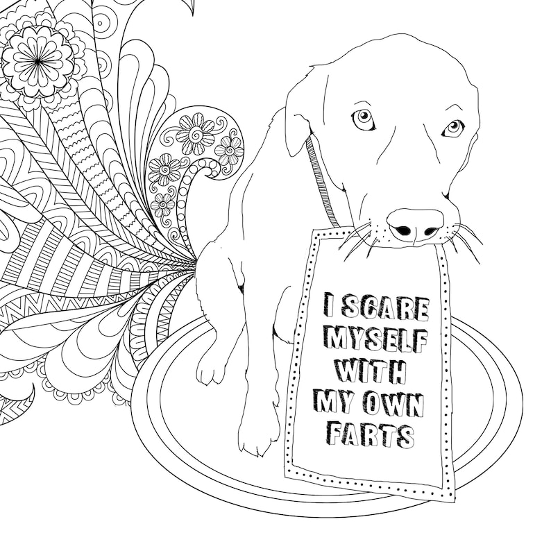 My Crazy Labrador Coloring Book for Adults lab coloring book | Etsy