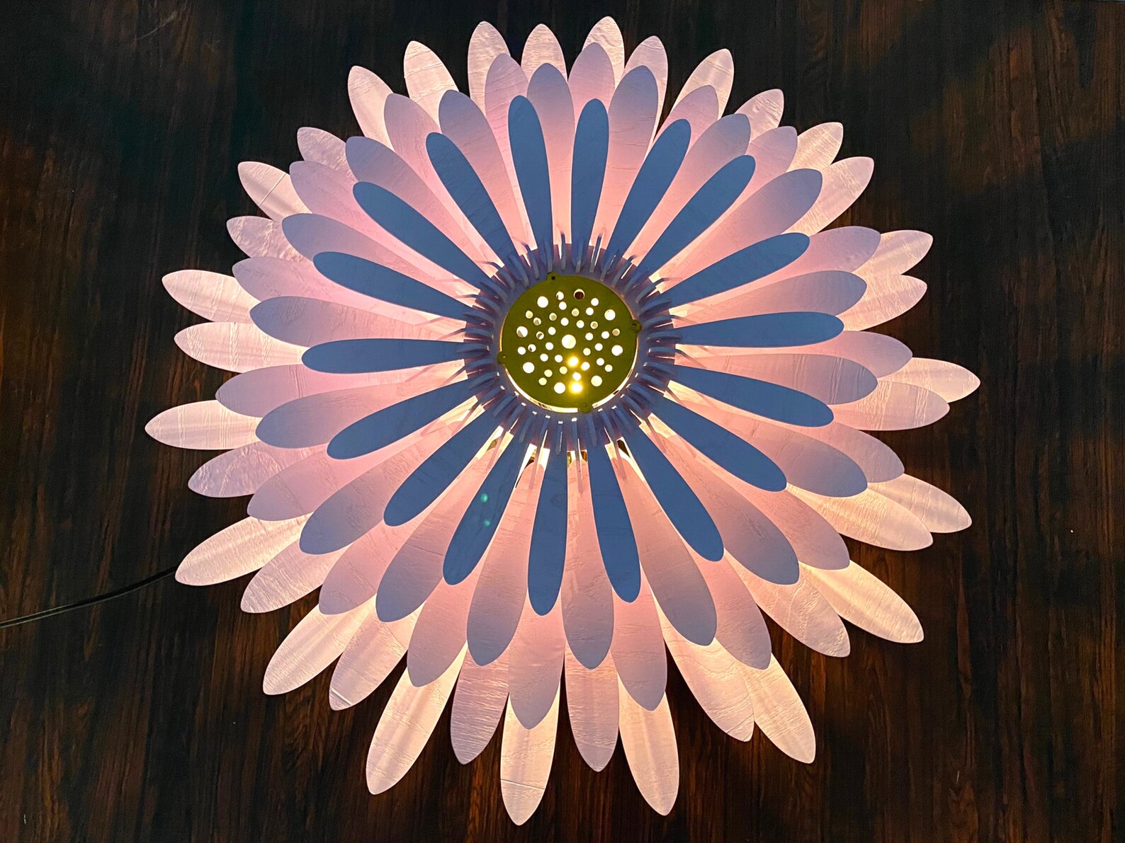 Cute Lamp Shades for Bedroom, Cool Lamp, Ceiling Lights/hanging Lights ...