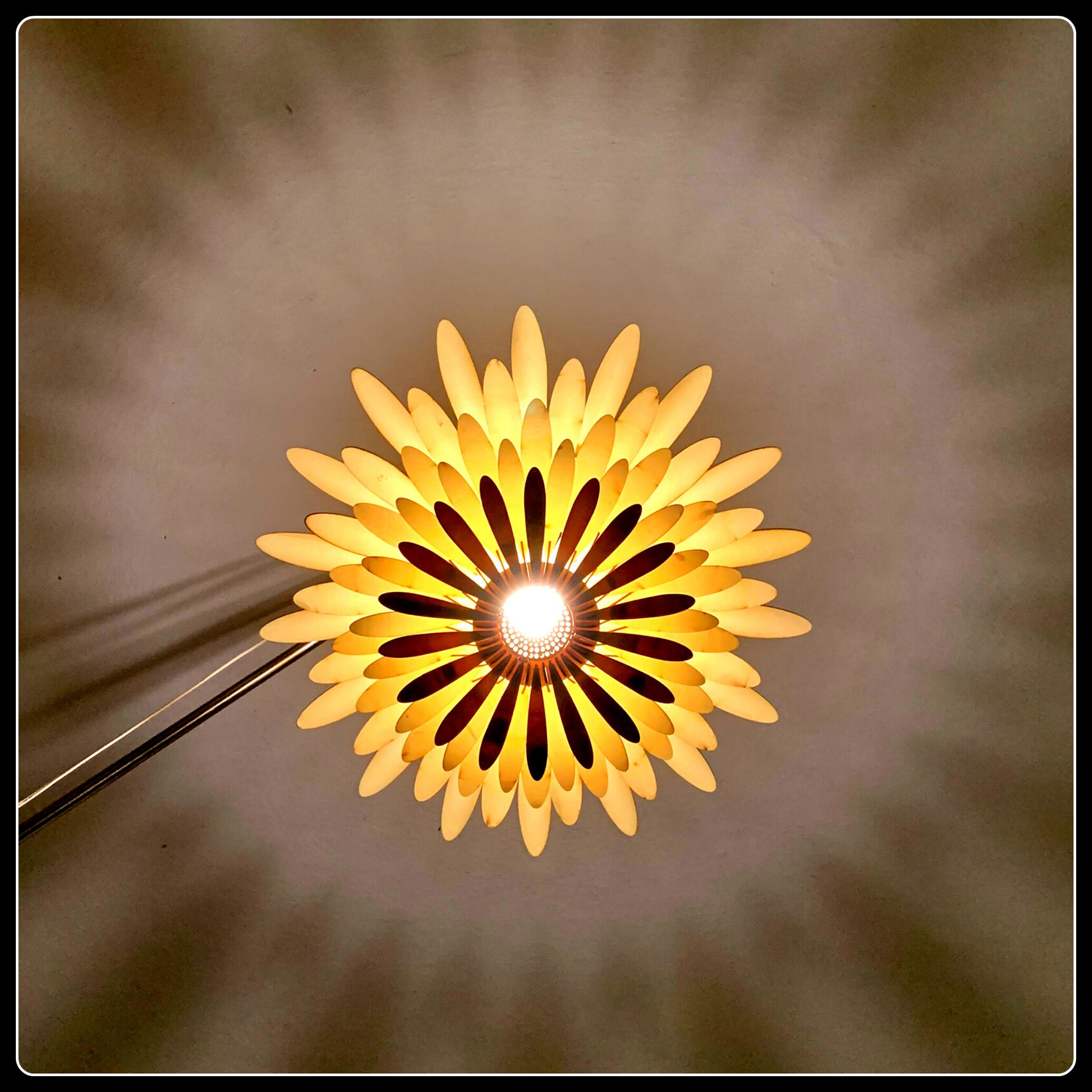 Daisy Flower Ceiling Light
