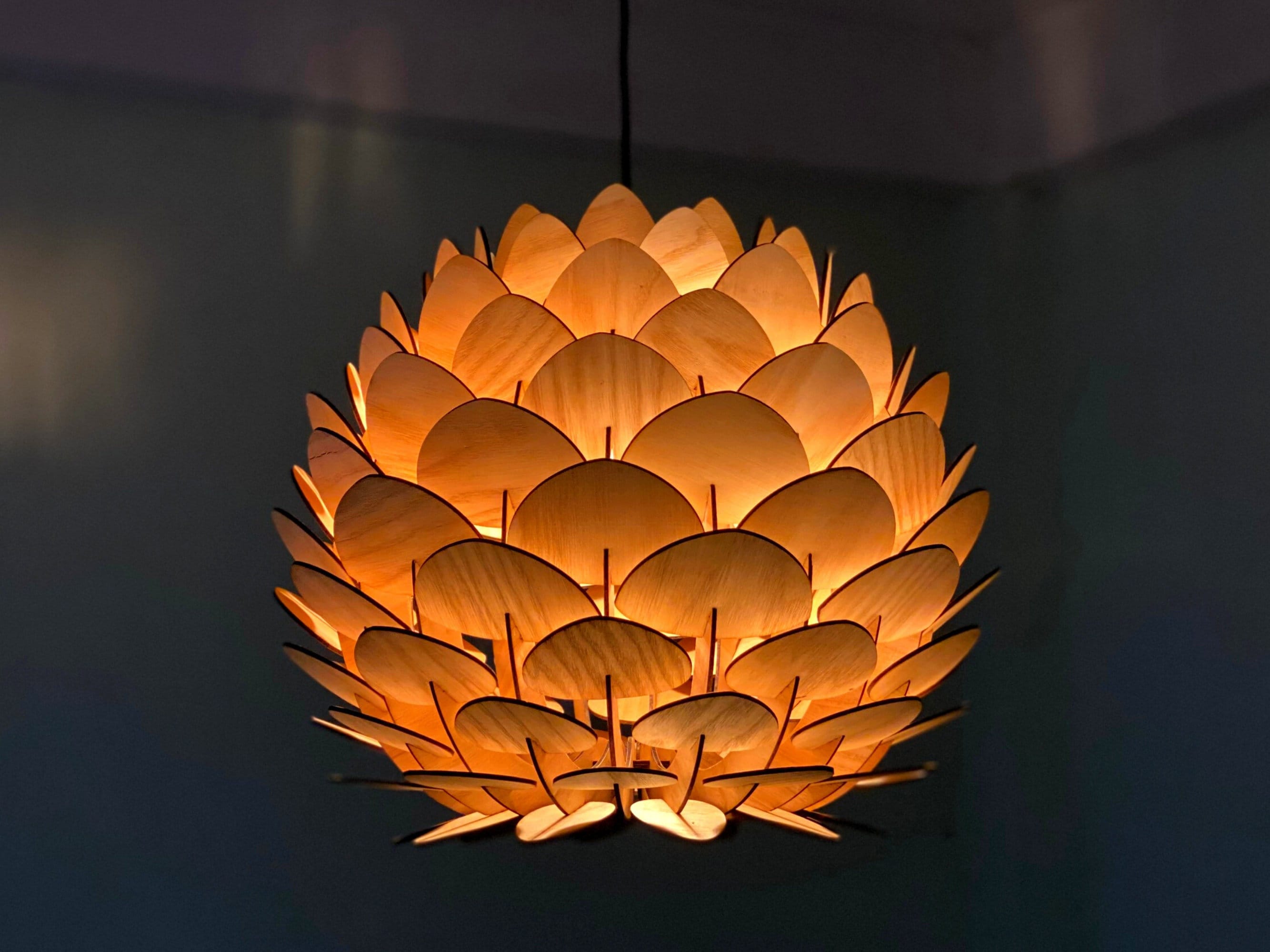 Pendent Light Hanging Lights Pendant Chandelier Lighting | Etsy