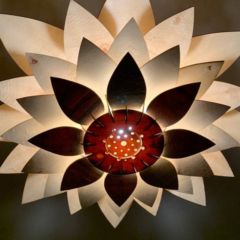 Unique Ceiling Lighting - Etsy