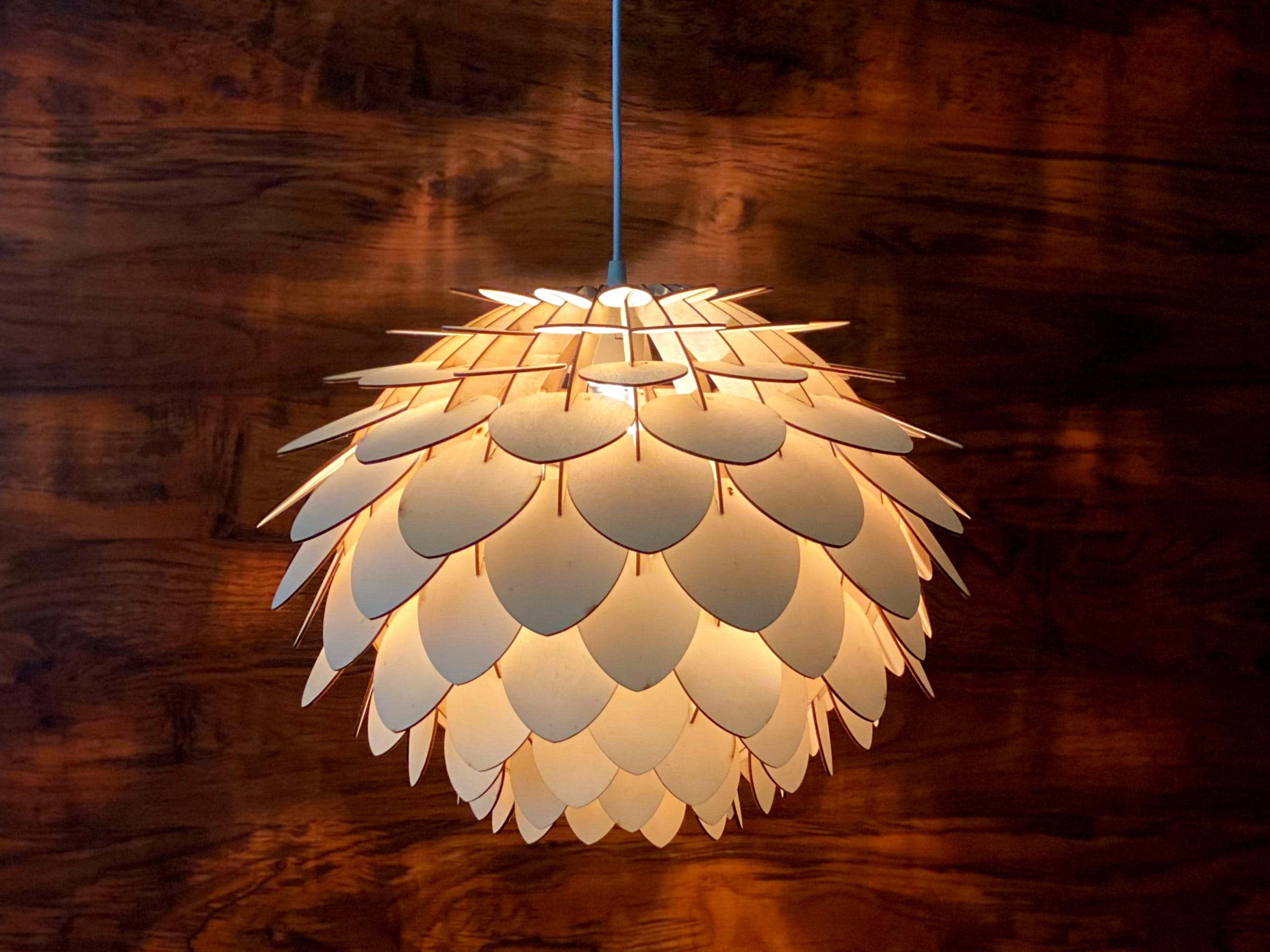 Hanging Lamp Hanging Lights for Living Room Ceiling Light | Etsy