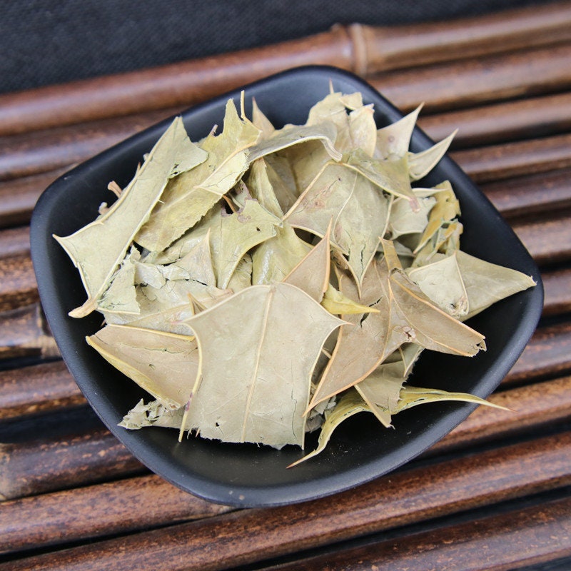 250g Organic Dried Chinese Mahonia Leaf Mahonia Bealei Gong - Etsy