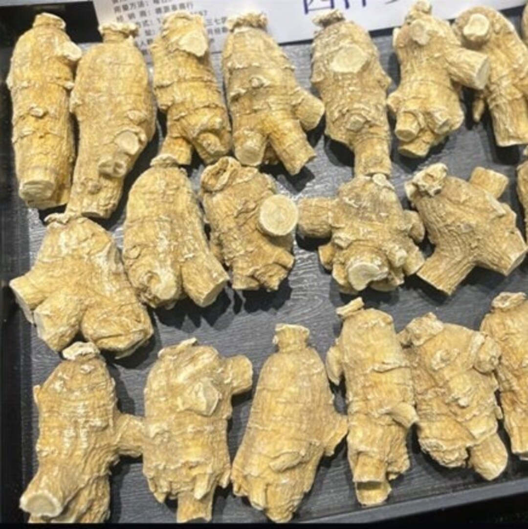 Organic Dried American Ginseng Roots Ginseng Root American Ginseng ...