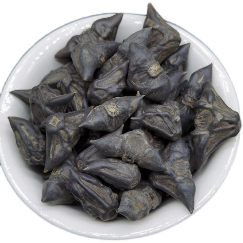 Recommend Organic Dried Water Caltrop Water Chestnut Trapa - Etsy
