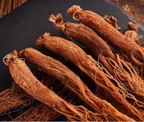 Organic Top Quality Red Ginseng Roots Whole Root Red Panax Ginseng ...