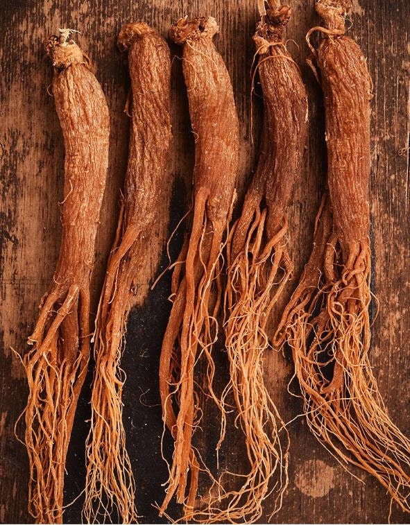 Organic Top Quality Red Ginseng Roots Whole Root Red Panax Ginseng ...