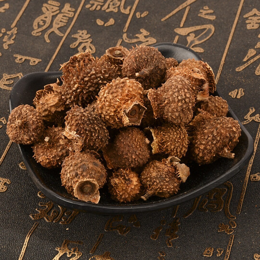 Recommend Organic Rosa Roxburghii Tratt, Rosa Roxburghii, Roxburgh Rose ...