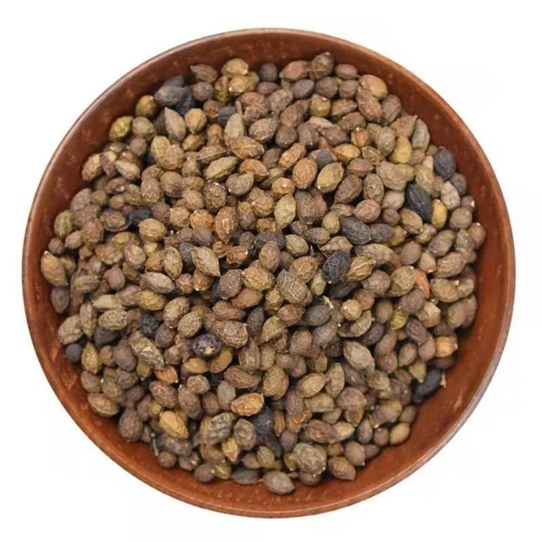 Organic Dried Java Brucea, Brucea Javanica, Khosam - Etsy