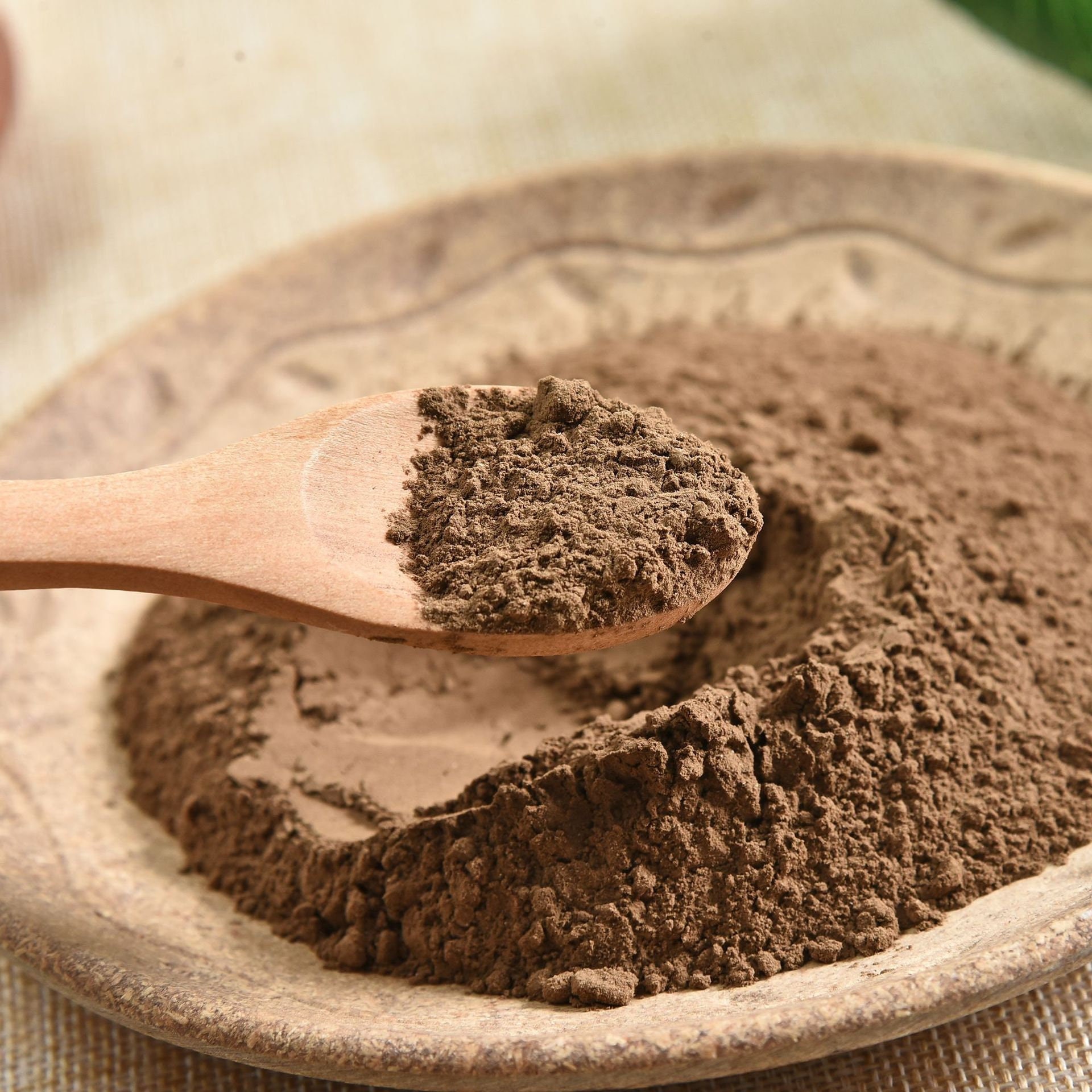 100% Pure Powder of Herba Cistanche, Desertliving Cistanche Powder ...