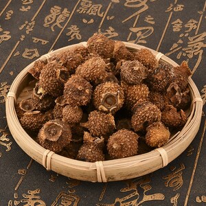 Recommend Organic Rosa Roxburghii Tratt, Rosa Roxburghii, Roxburgh Rose ...