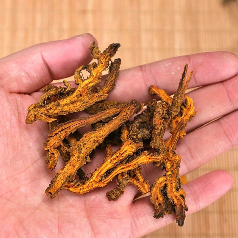 Organic Dried Coptis Chinensis Chinese Goldthread - Etsy