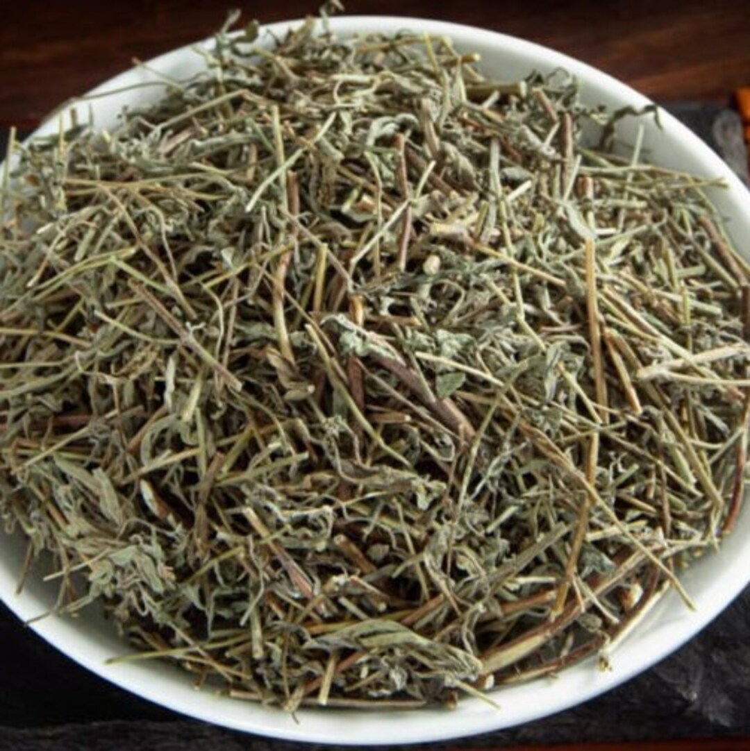 Organic Chinese Mosla Herb,herb of Haichow Elsholtzia, Haichow ...