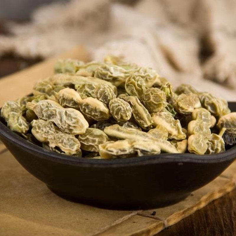 Dried Seed Pods - Etsy