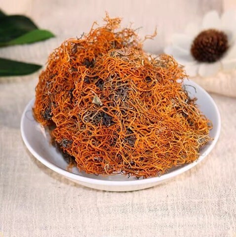 Organic Dried Red Thamnolia Vermicularia, Red Snow Tea - Etsy