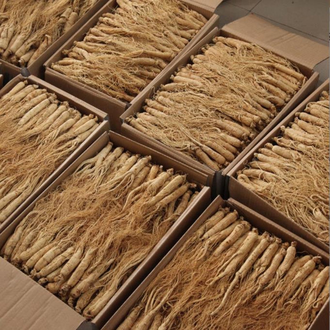 250g Top Quality Dried Organic White Ginseng Roots , Ginseng Root ...