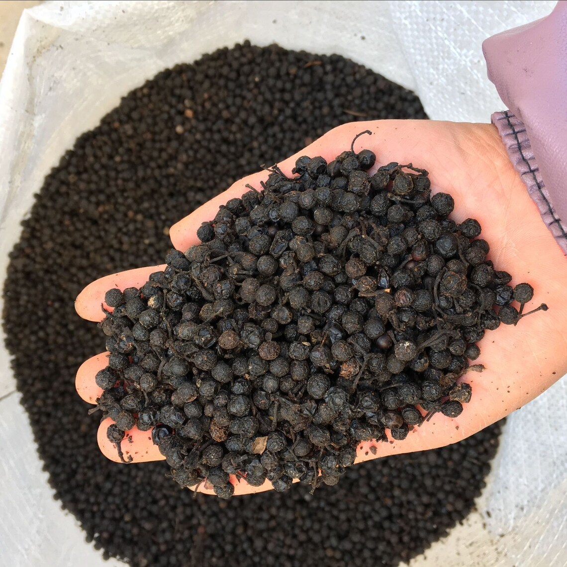 Recommend Organic Herba Piper Cubeba Fructus Litseae | Etsy