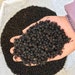 Recommend Organic Herba Piper Cubeba, Fructus Litseae, Mountain Spicy ...