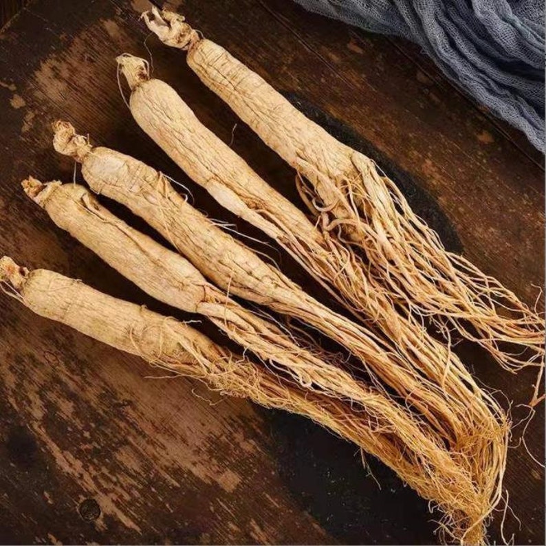250g Top Quality Dried Organic White Ginseng Roots , Ginseng Root ...