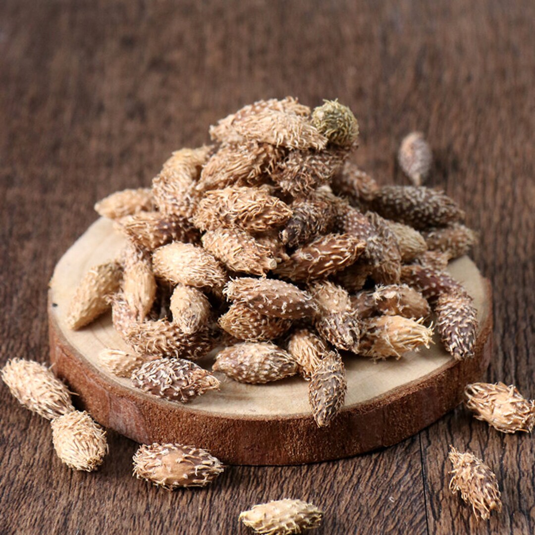 Organic Dried Siberian Cocklour Fruit, Fructus Xanthii, Xanthium Sibiricum, Cang Er Zi - Etsy