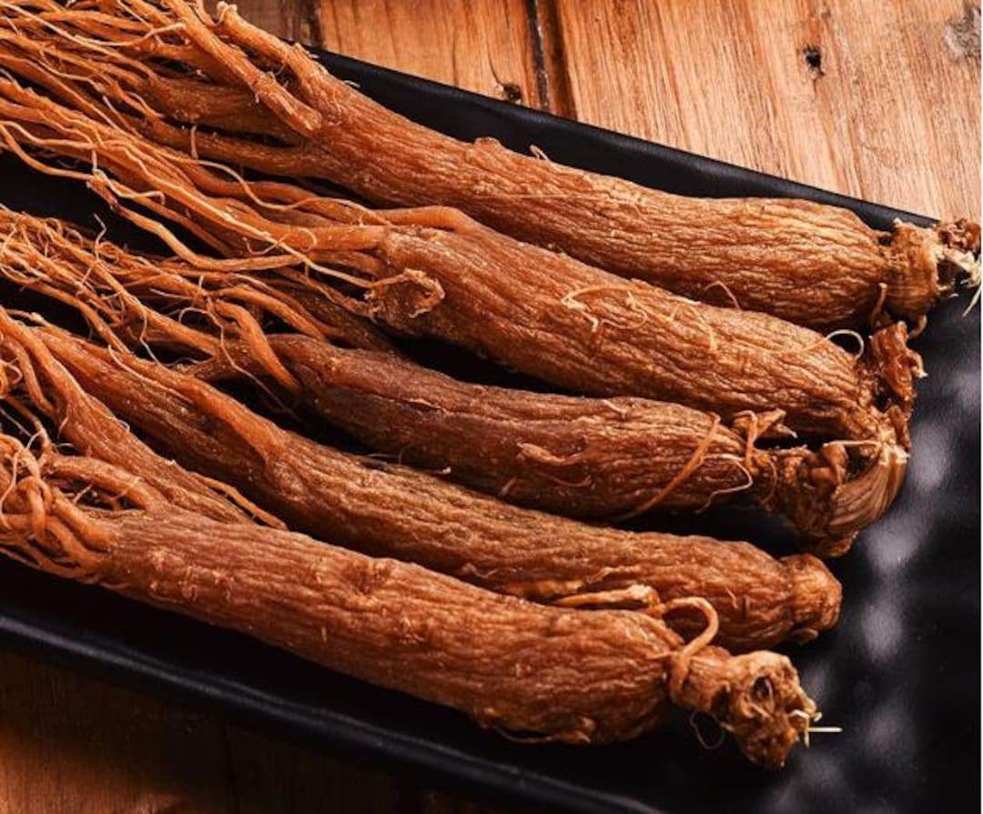 Organic Top Quality Red Ginseng Roots Whole Root Red Panax Ginseng Roots - Etsy