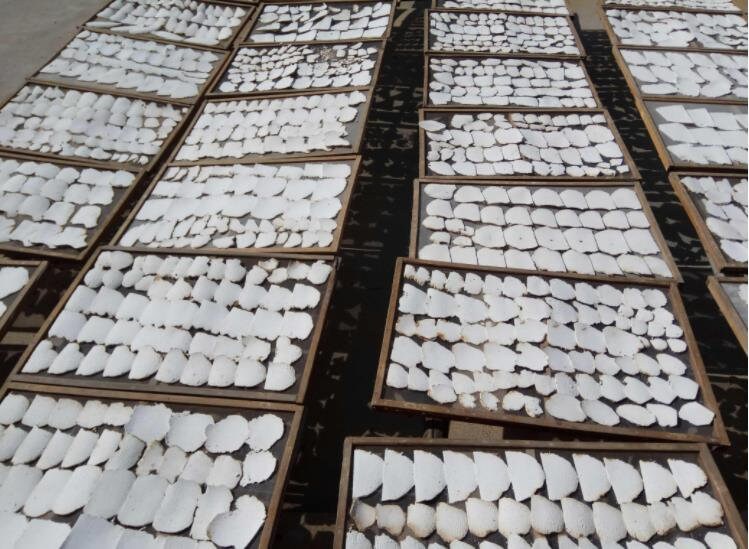 High Quality Poria Cocos Slice, Fu Ling Slice, Sclerotum Poriae Cocos ...