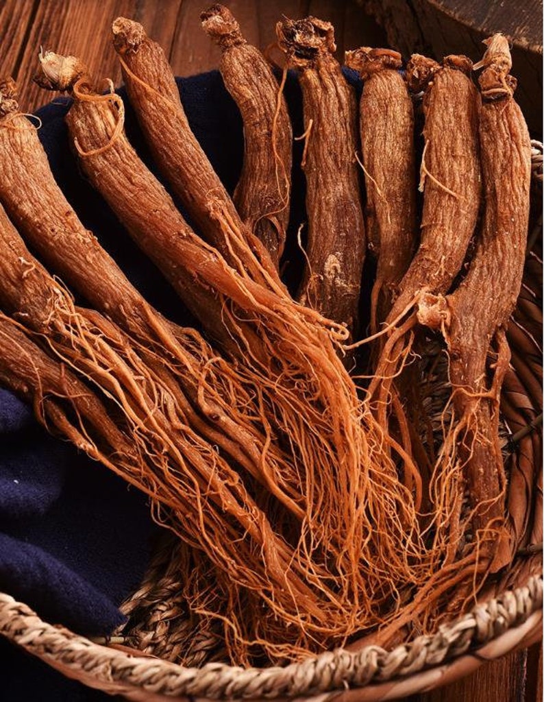 Organic Top Quality Red Ginseng Roots Whole Root Red Panax Ginseng ...