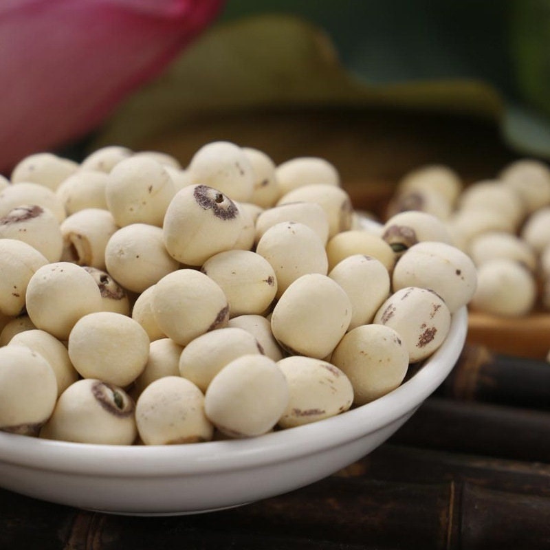Recommend Organic Dried White Lotus Seeds, White Lotus Zi - Etsy