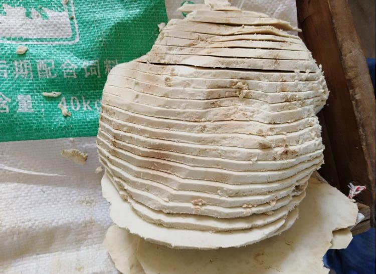 High Quality Poria Cocos Slice, Fu Ling Slice, Sclerotum Poriae Cocos ...