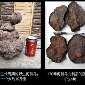 Precious 100% Jiu Zheng Jiu Shai Pure Wild Dried Tuber Fleeceflower ...