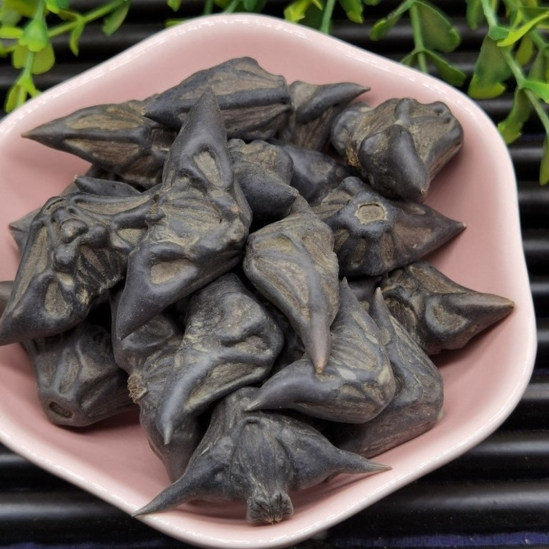 Recommend Organic Dried Water Caltrop Water Chestnut Trapa - Etsy