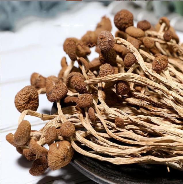 Dried Liberty Caps