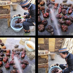 Precious 100% Jiu Zheng Jiu Shai Pure Wild Dried Tuber Fleeceflower ...