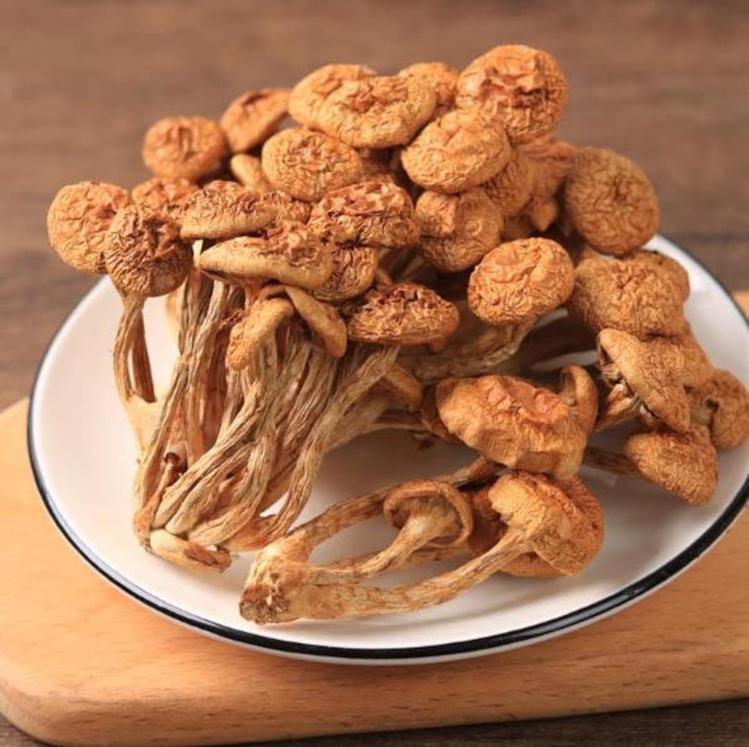Organic Dried Pholiota Nameko, Nameko Mushroom, Slider Mushroom, Hua Zi ...