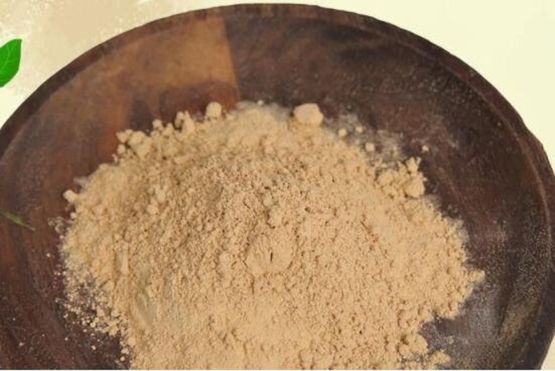 100% Pure Powder of Agrocybe Aegerita, Tea Tree Mushrooms Powder, Tea ...