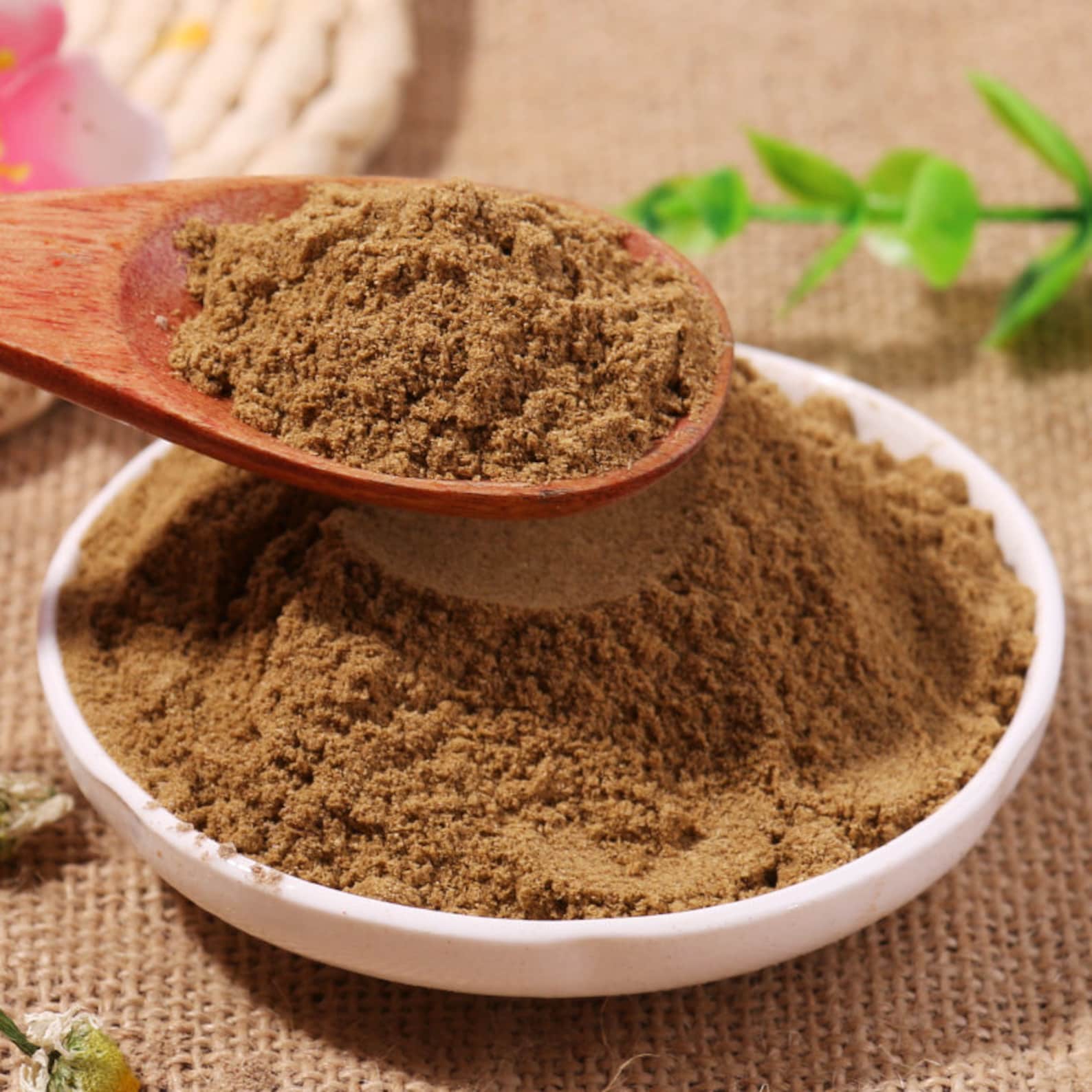 100% Pure High Quality Nature Ootheca Mantidis Capsules 100pcs, Mantis ...