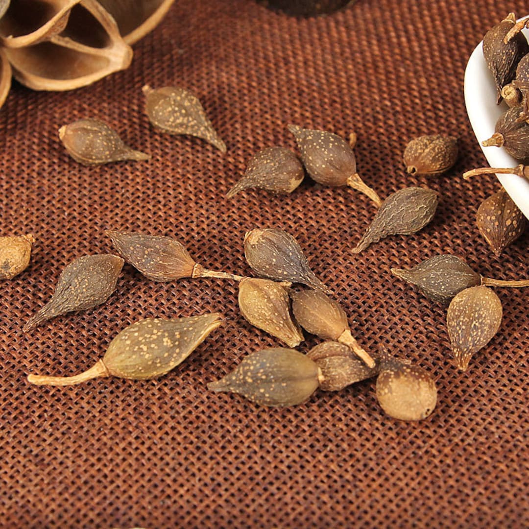Organic Dried Weeping Forsythiae | Fructus Forsythiae | Lian Qiao - Etsy