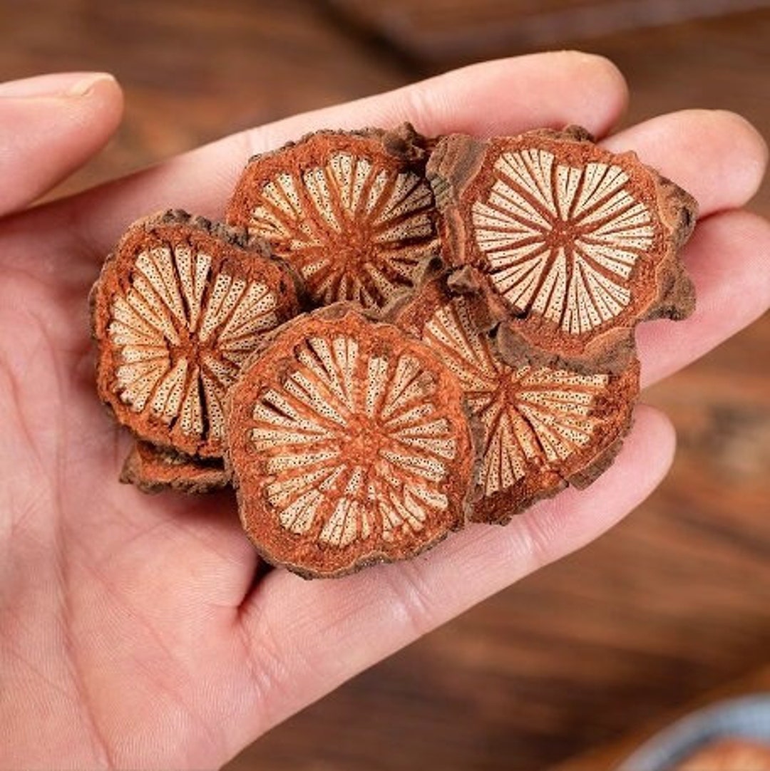Organic Dried Herba Caulis Sargentodoxae Sargentgloryvine Stem - Etsy