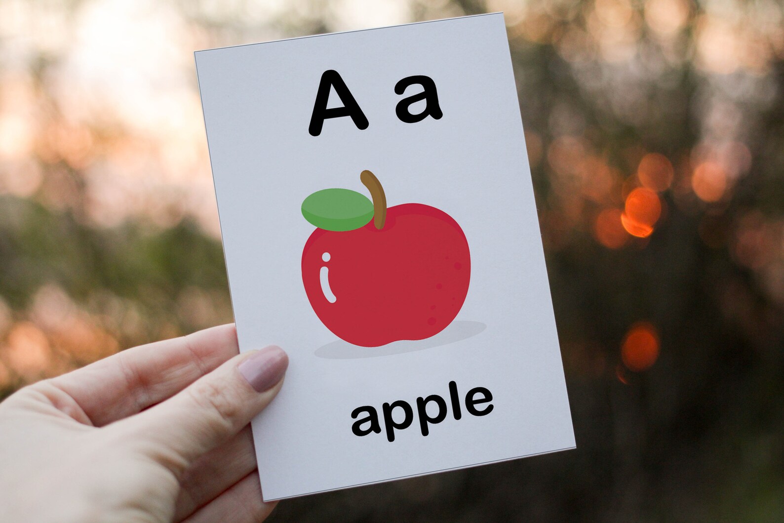 Flash Cards, ABC, Alphabet, Letters, Children's, Pocket, Printable, Tag ...