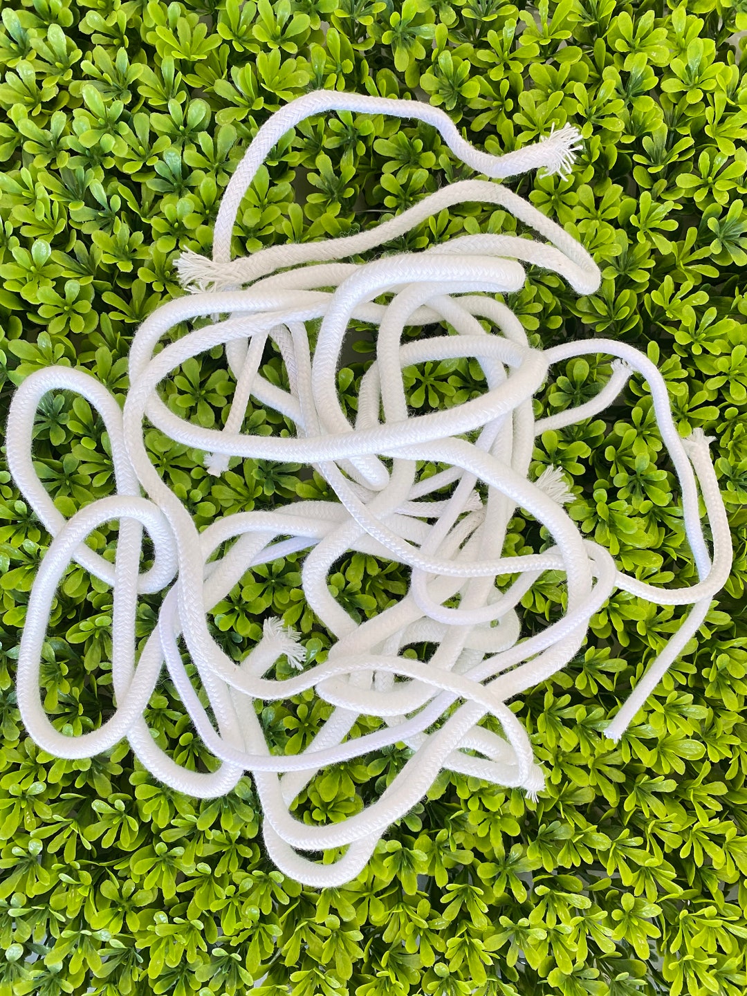 Watering Wick, 10ft for Plant Moss Poles 1/4" Diameter - 1 Pack - Etsy