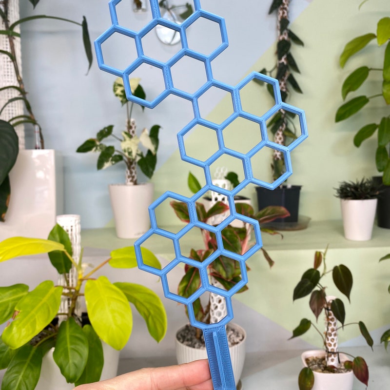Hexagon Trellis - Etsy