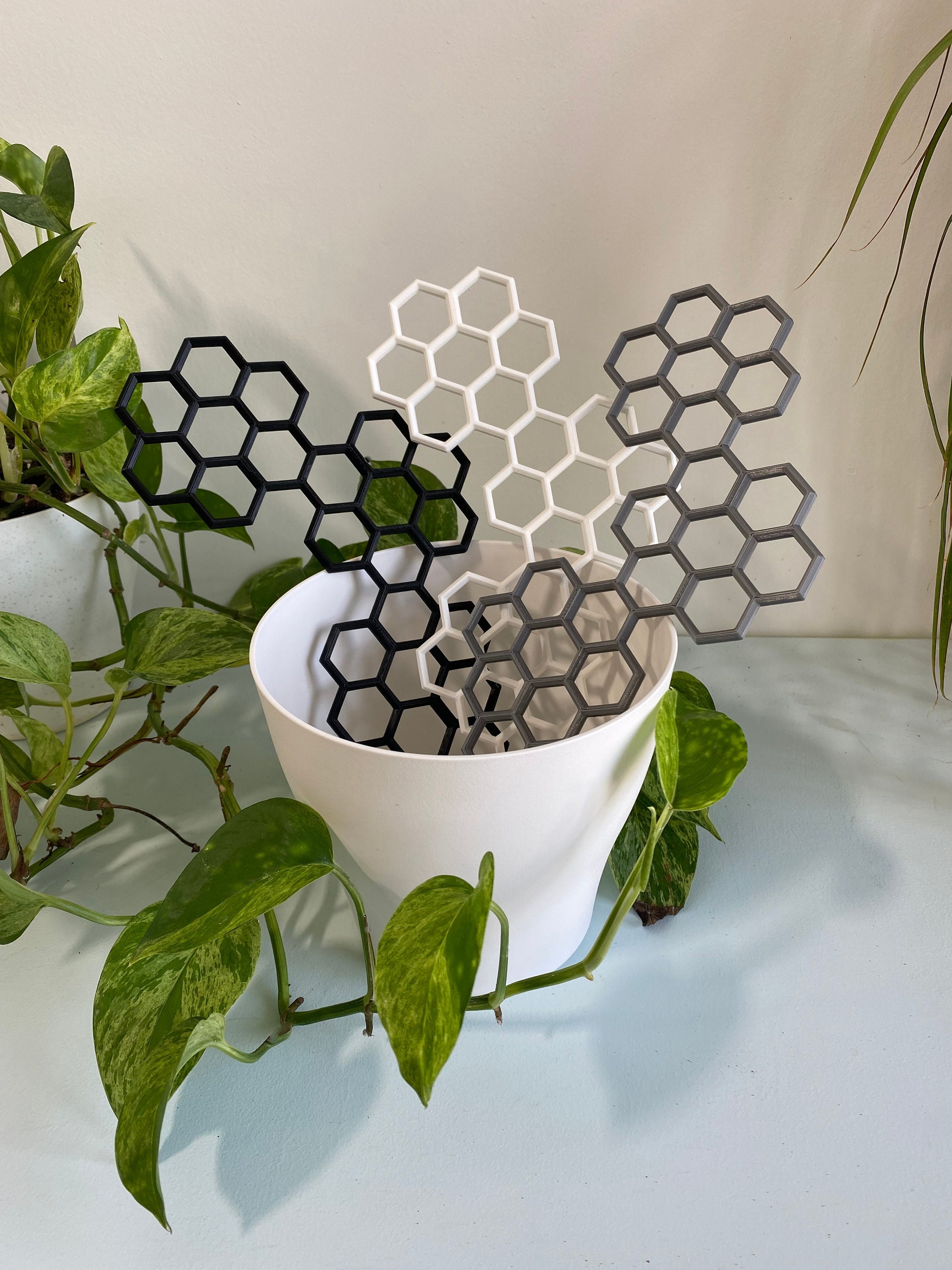 Geometric Plant Trellis 2D Totem Plant Support Stake by OrchidBox Ferns ...