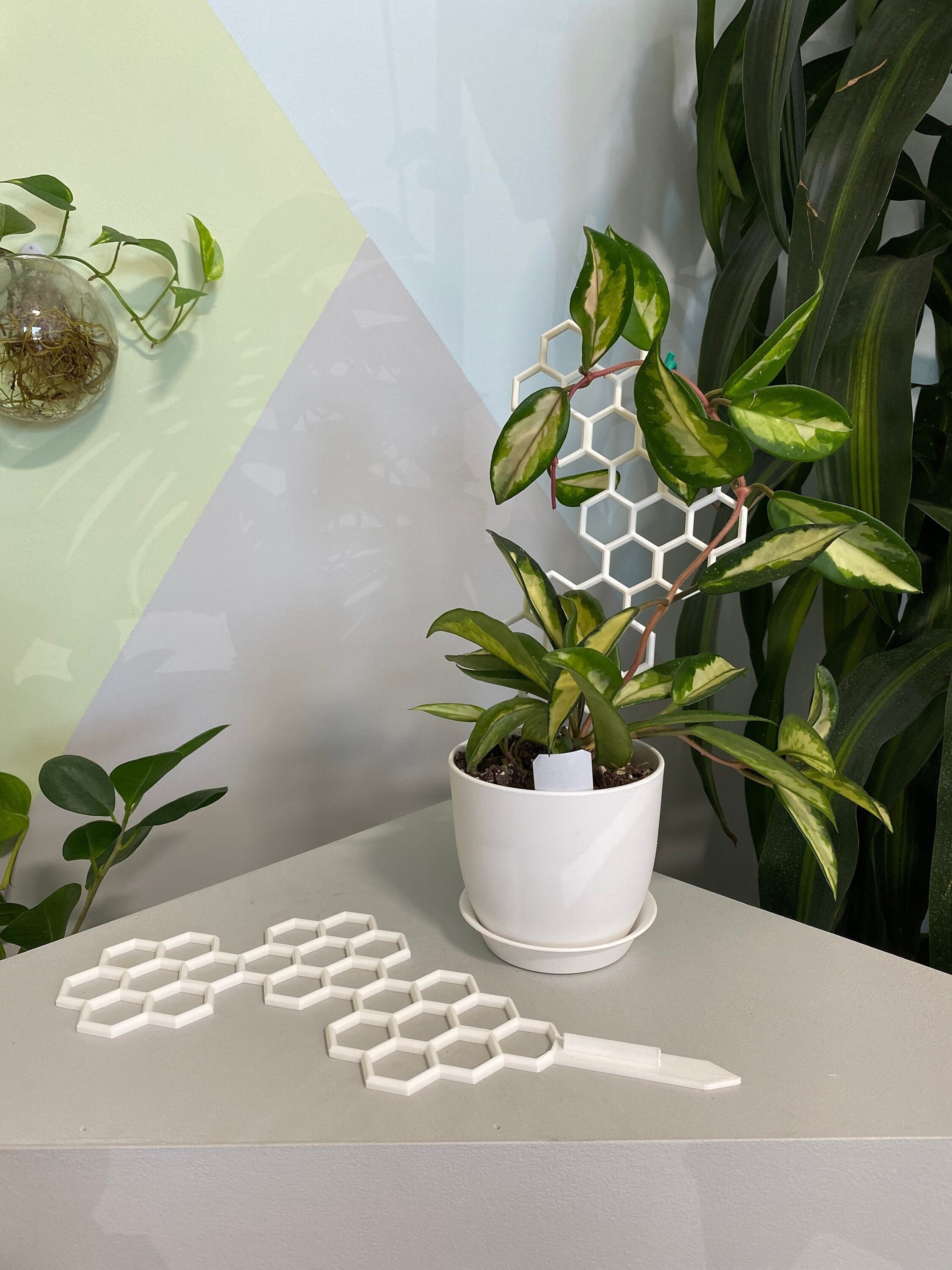 Hexagon Plant Trellis / Geometric 2D Moss Pole / Totem / Plant - Etsy