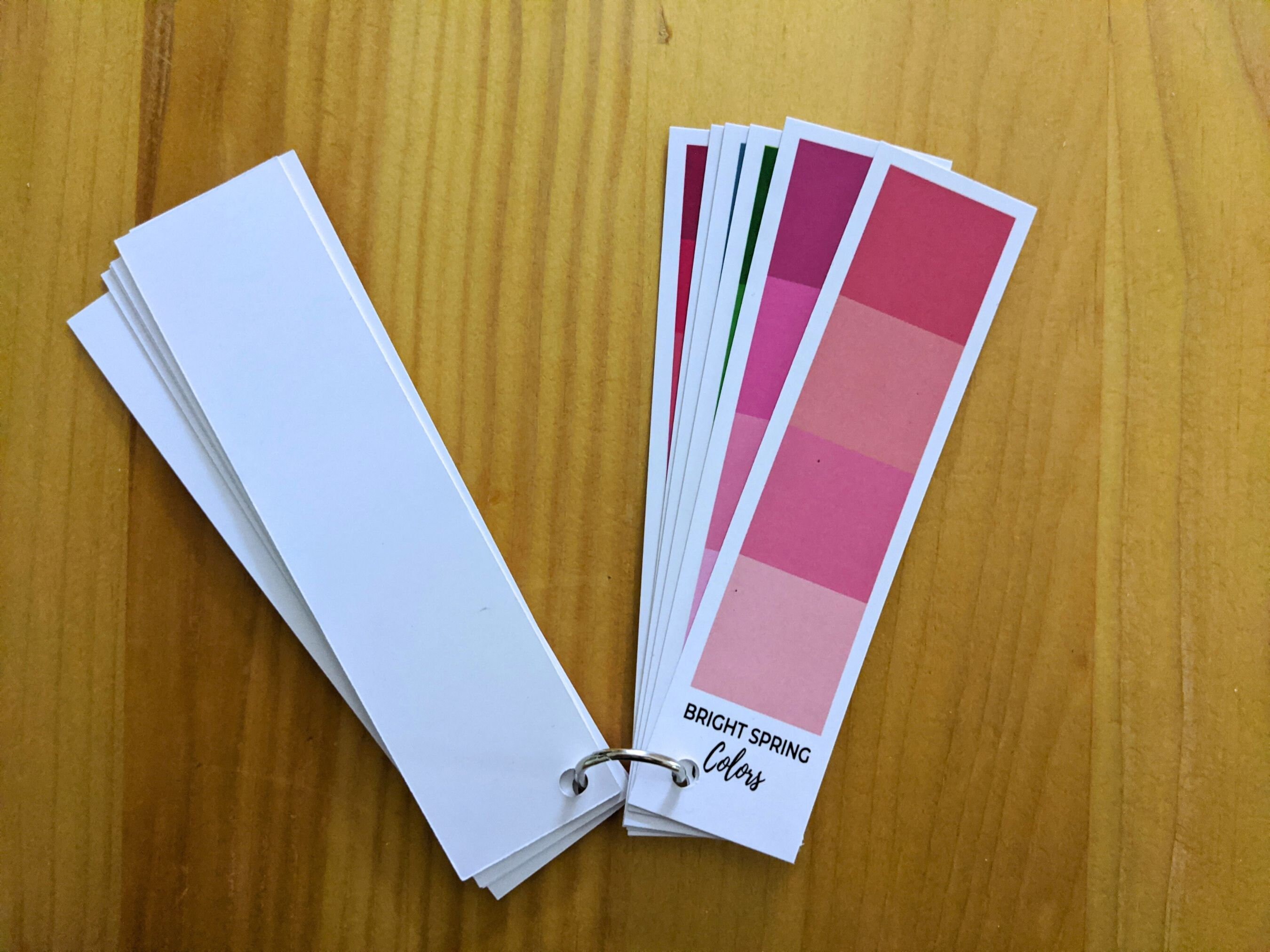 Bright Spring Color Palette Fan - Etsy