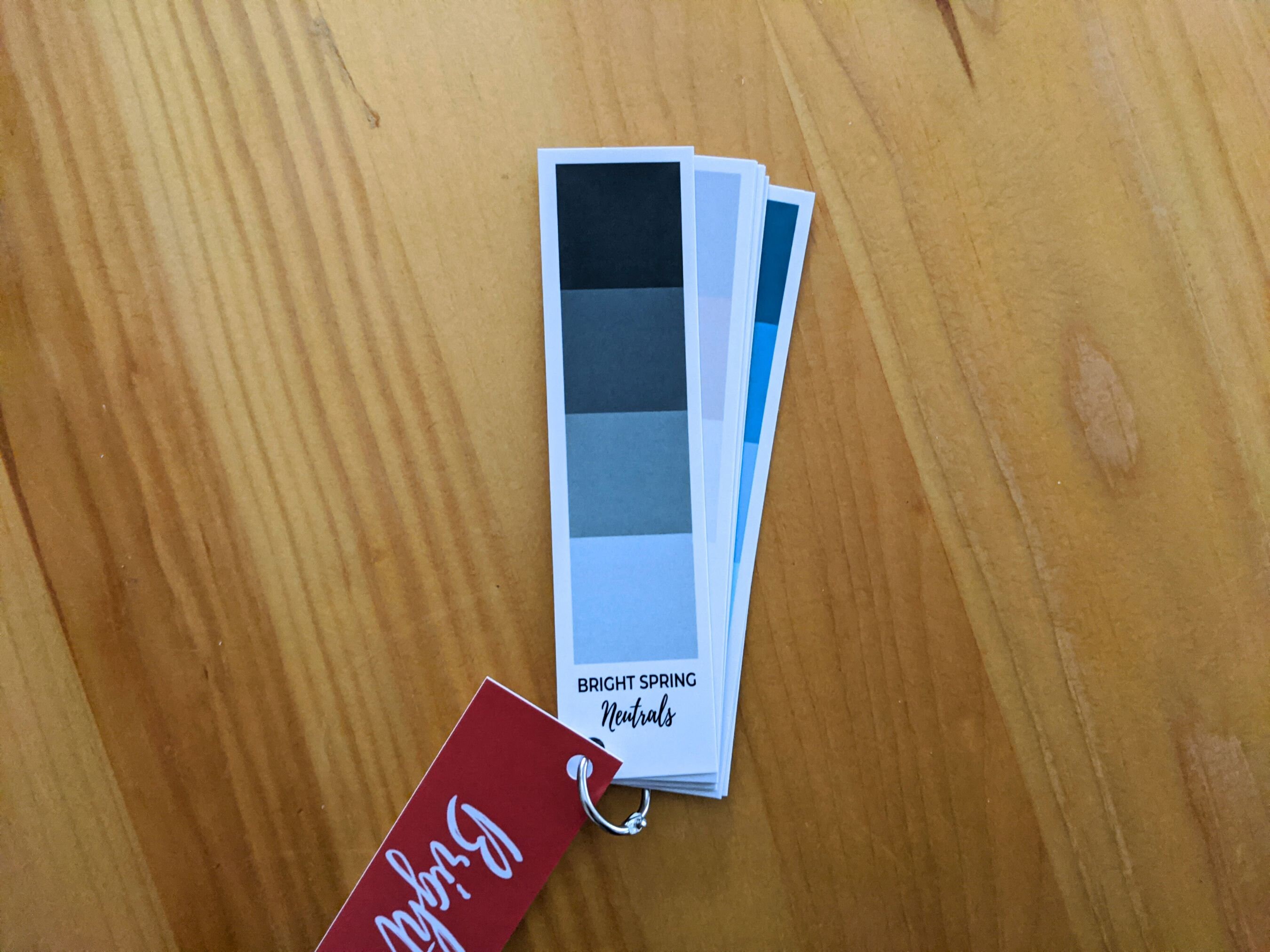 Bright Spring Color Palette Fan - Etsy