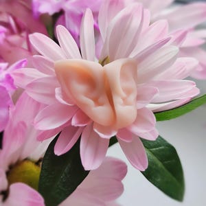 Elf Ears, Vampire Ears for the middie Blythe Doll. Custom Blythe Doll ...