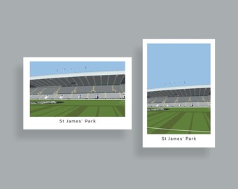 St James' Park Newcastle United Illustrated Football Stadium Art Print ...