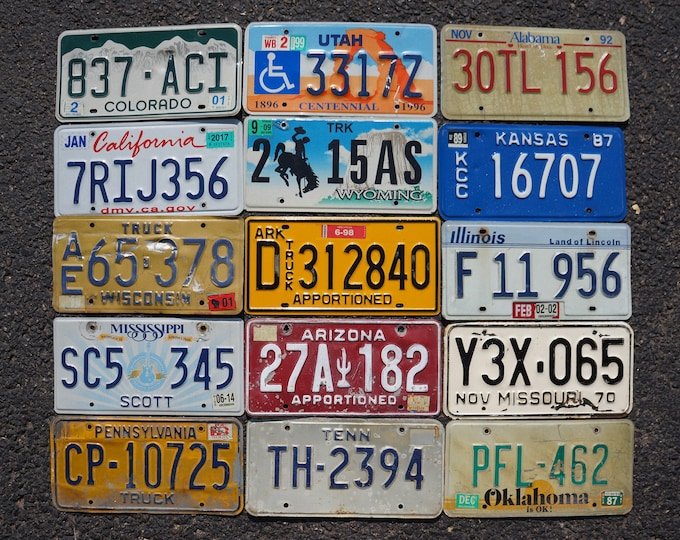 LOT of 15 License Plates 10 Different States USA Plate Tag Craft ...