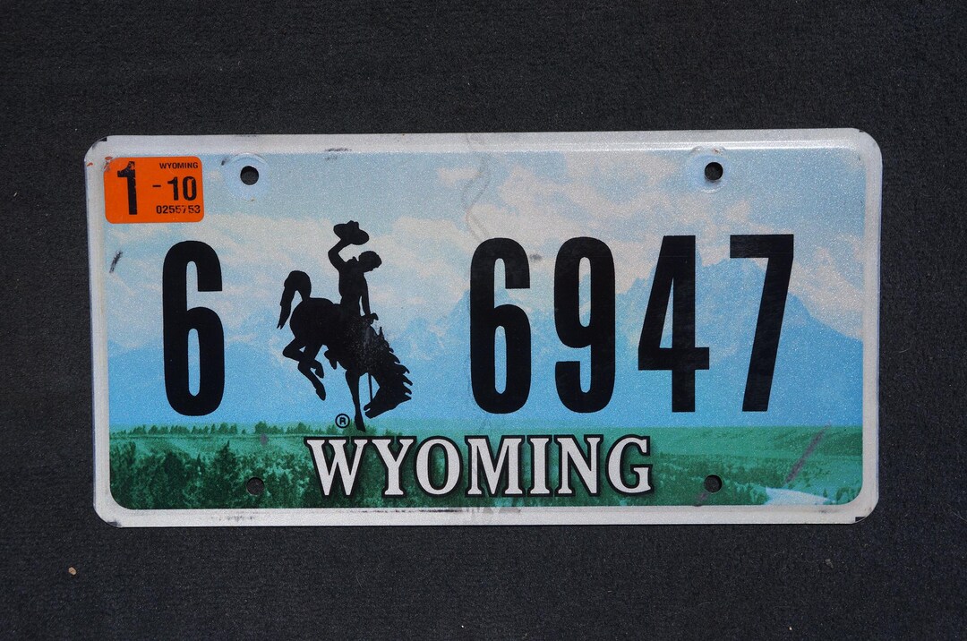 2010 Wyoming Graphic Rodeo Cowboy & Horse Bucking Bronco Blue License ...