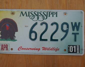 Turkey License Plate | Etsy